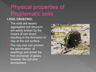 Problematic soil | PPTX