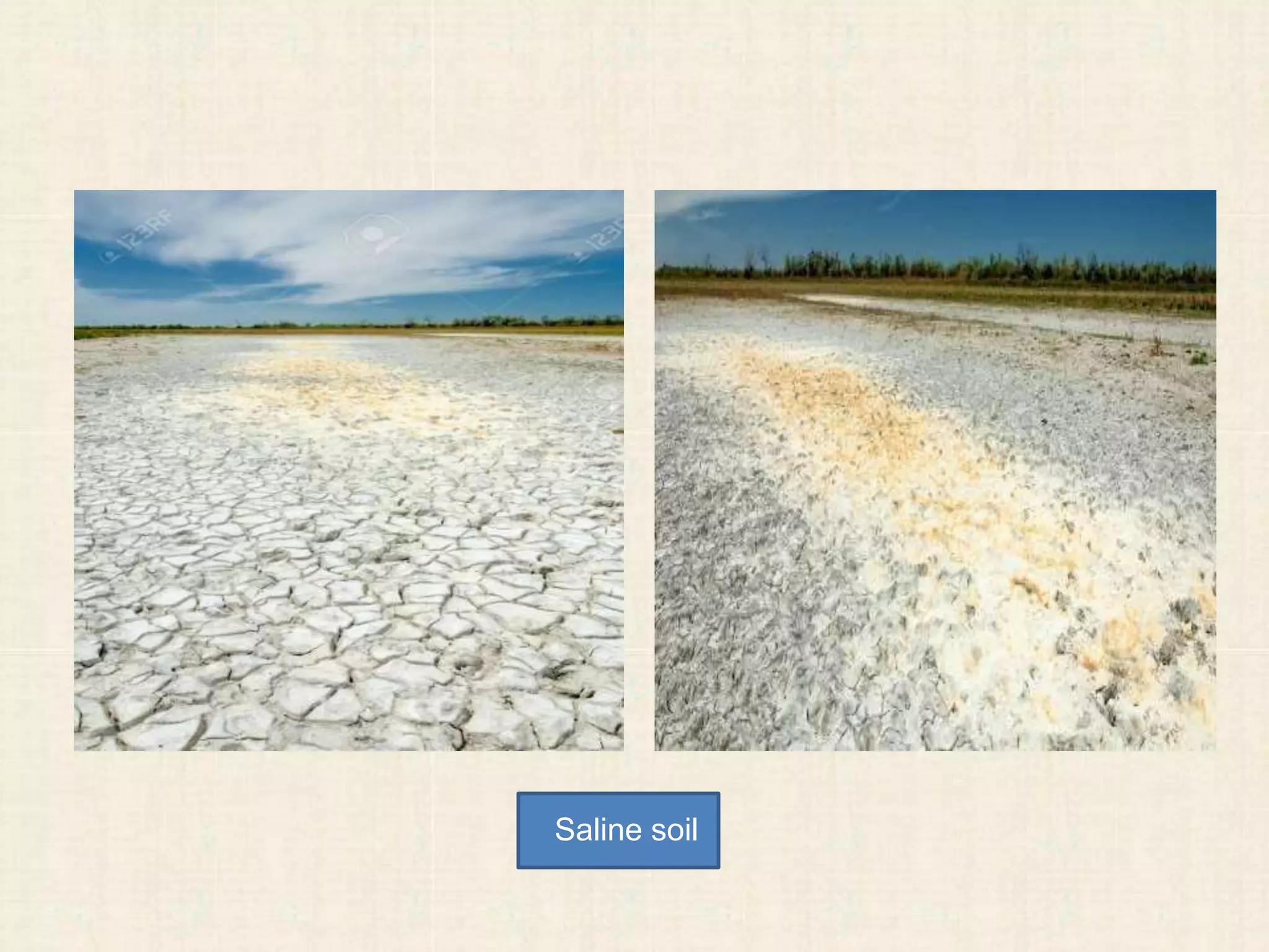 problematic soils.pptx