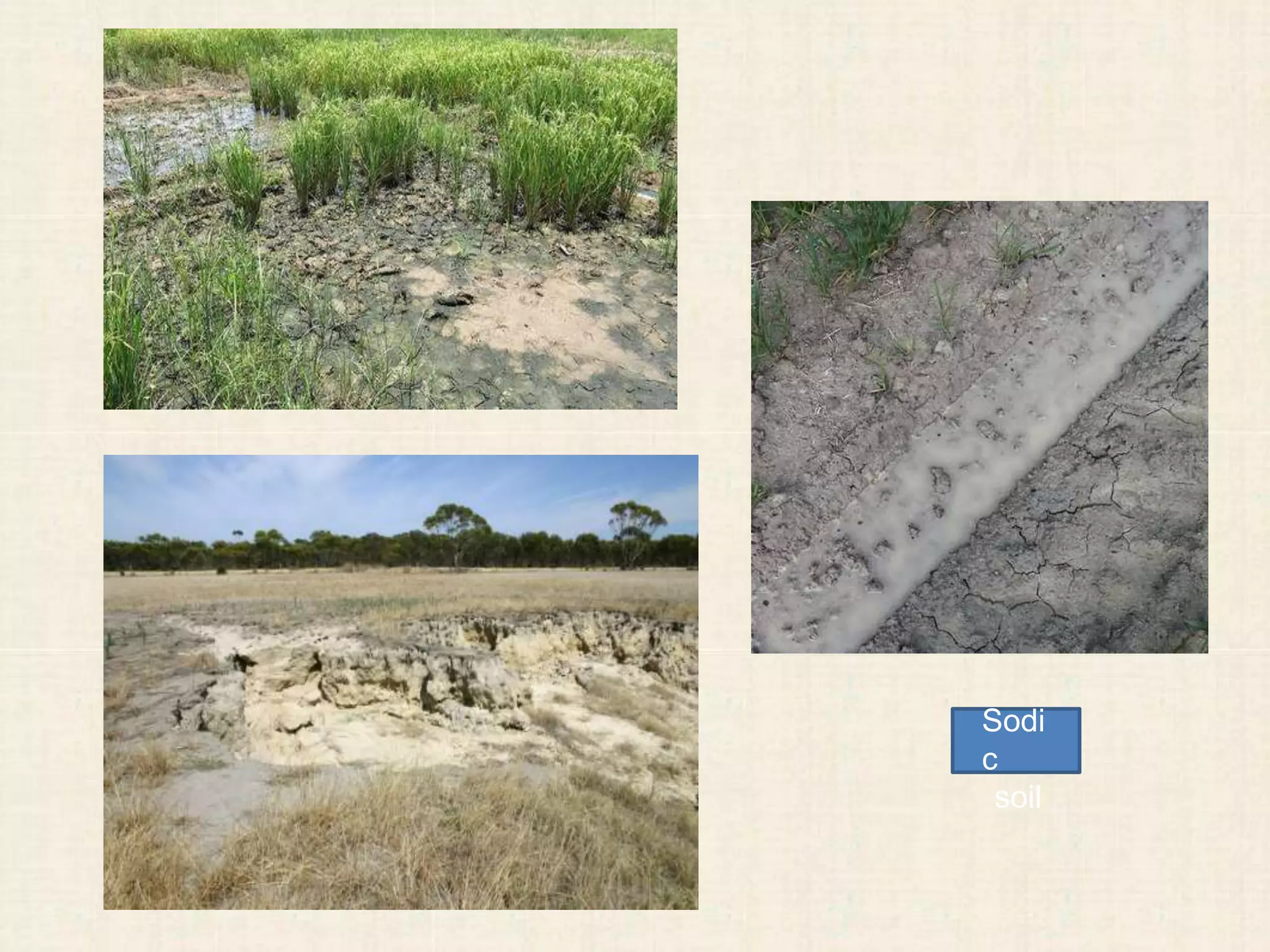 problematic soils.pptx