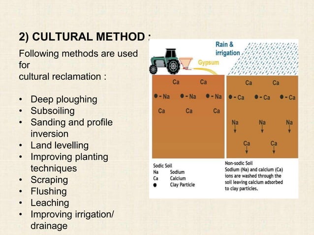 problematic soils.pptx | Agriculture | Industries