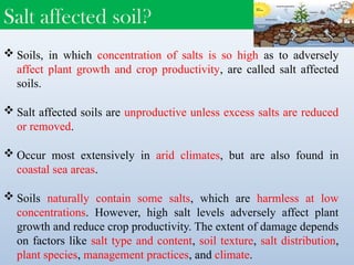 Problematic Soils and their Management (Unit 2)-1.pptx