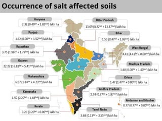Problematic Soils and their Management (Unit 2)-1.pptx