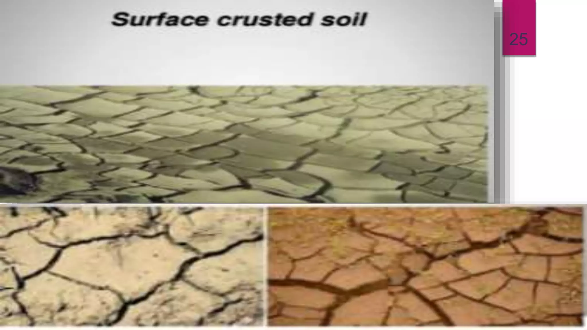 Problematic soils (aridisol) | PPTX