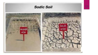 Problematic soils (aridisol) | PPTX
