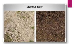 Problematic soils (aridisol) | PPTX