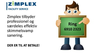 Problemer med skimmelsvamp | PPT