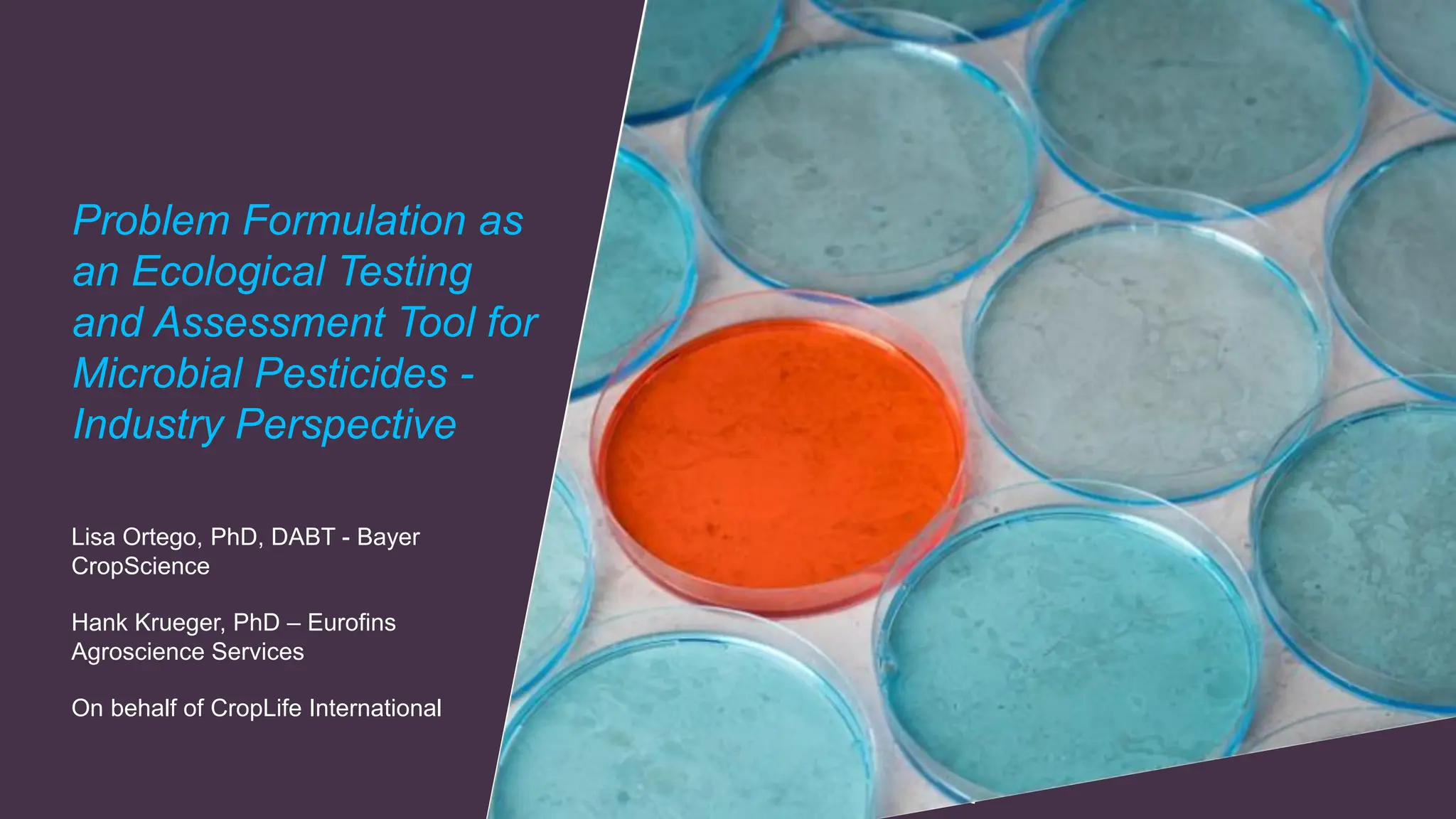 Problem Formulation as an Ecological Testing and Assessment Tool for ...
