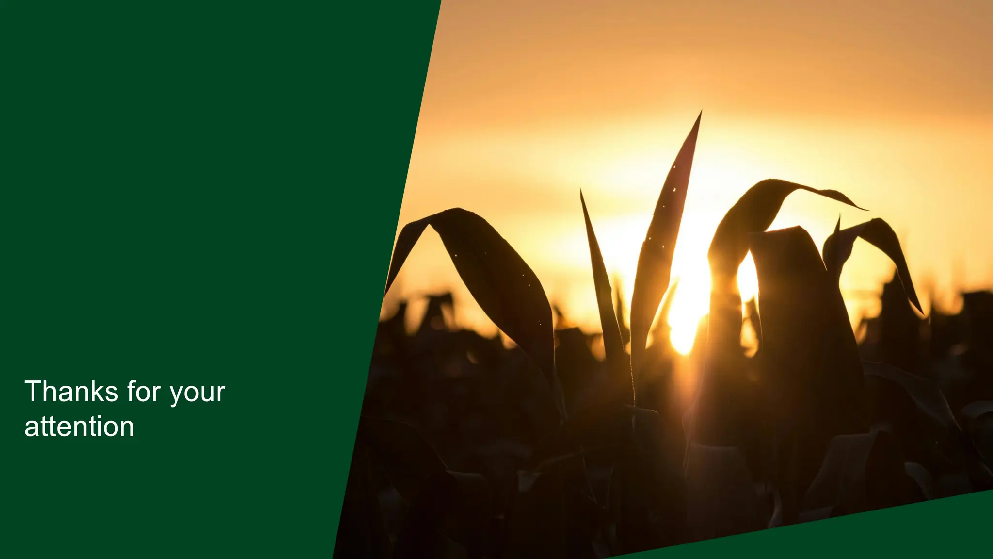 Problem Formulation As An Ecological Testing And Assessment Tool For Microbial Pesticides