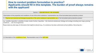 Problem formulation for environmental risk assessment in the context of ...