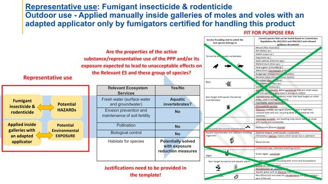 Problem formulation for environmental risk assessment in the context of ...