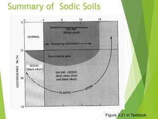 Problem of sodic soils.ppt