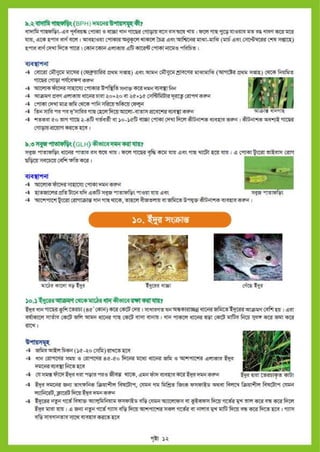 Problems and-solutions of rice | PDF