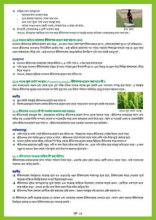Problems and-solutions of rice | PDF