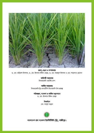 Problems and-solutions of rice | PDF