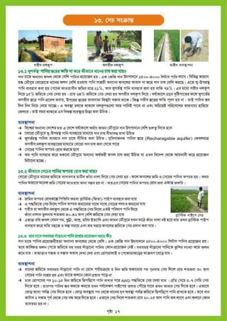 Problems and-solutions of rice | PDF
