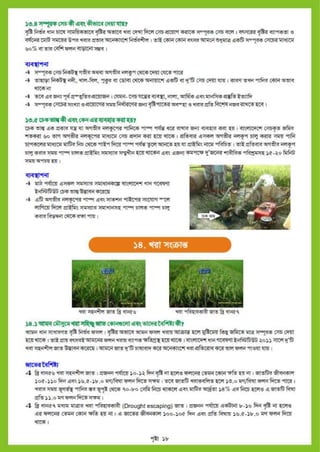 Problems and-solutions of rice | PDF