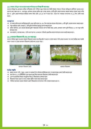 Problems and-solutions of rice | PDF