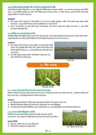 Problems and-solutions of rice | PDF