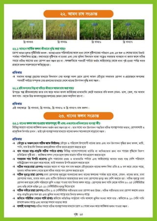 Problems and-solutions of rice | PDF