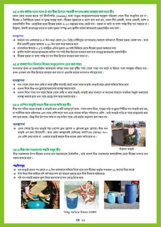 Problems and-solutions of rice | PDF