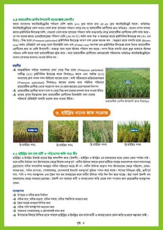 Problems and-solutions of rice | PDF