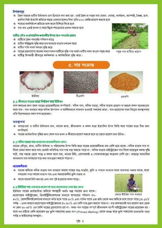 Problems and-solutions of rice | PDF