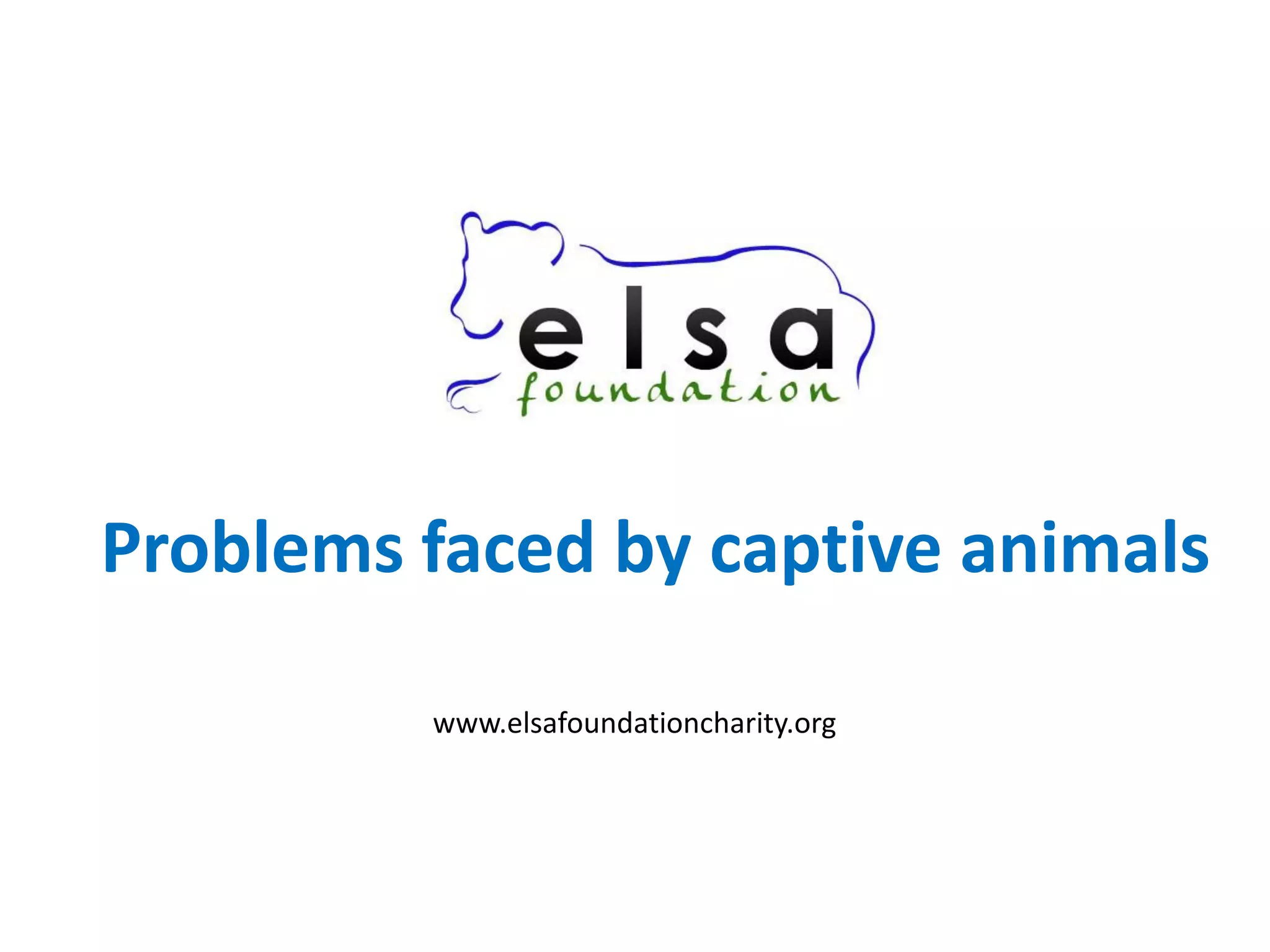 Problems faced by captive animals | PDF