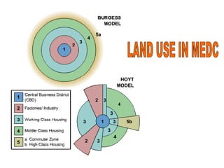 Problems Of Urban Growth Ledc Exam Practice | PPT