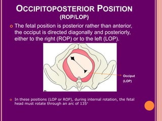 Problems-with-the-Passenger (1).pptx