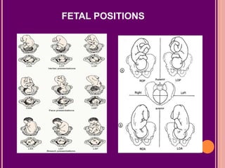 Problems-with-the-Passenger (1).pptx