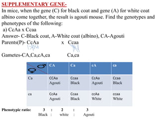 Problems based on mendelism and interaction of genes | PPTX