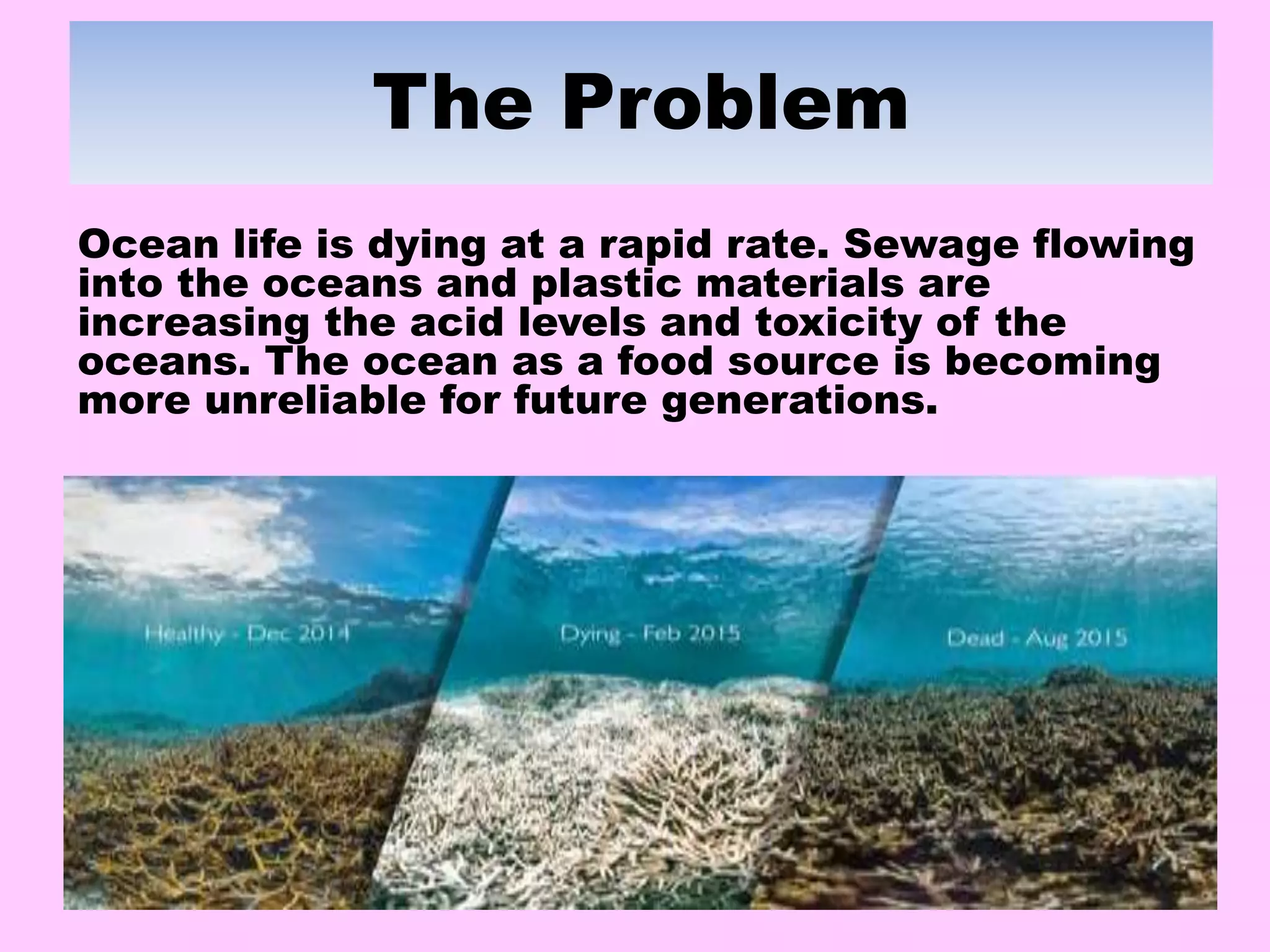 Dean R Berry Problems and Solutions: Our Oceans are Dying | PPT