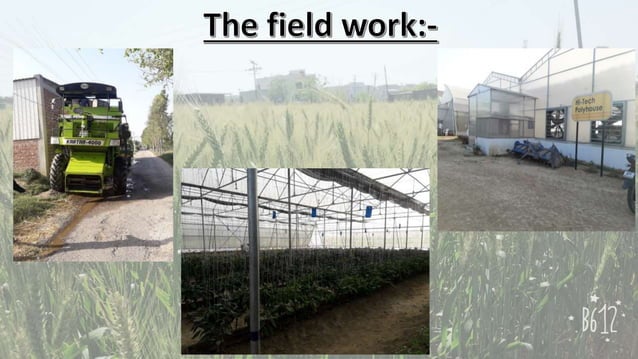 Problems faced by farmers in agriculture