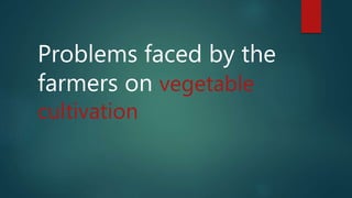 Problems faced by the farmers in vegetable cultivation | PPTX