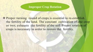 Problems in indian agriculture | PPTX