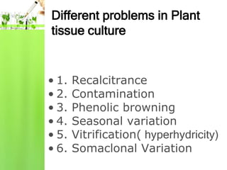 Problems in plant tissue culture | PPTX