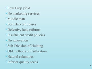 Problems of Agriculture in Pakistan 2024.ppt