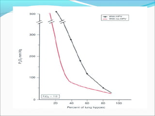 Anaesthetic problems of open chest and pathophysiology of one lung ...