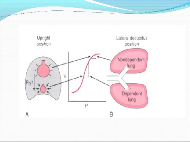 Anaesthetic problems of open chest and pathophysiology of one lung ve…