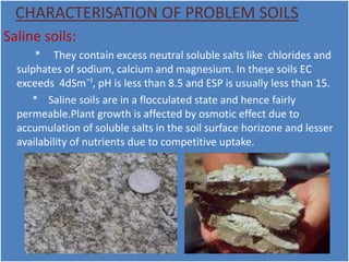 Problem soil management | PPTX