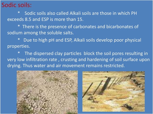 Problem soil management | PPTX | Agriculture | Industries