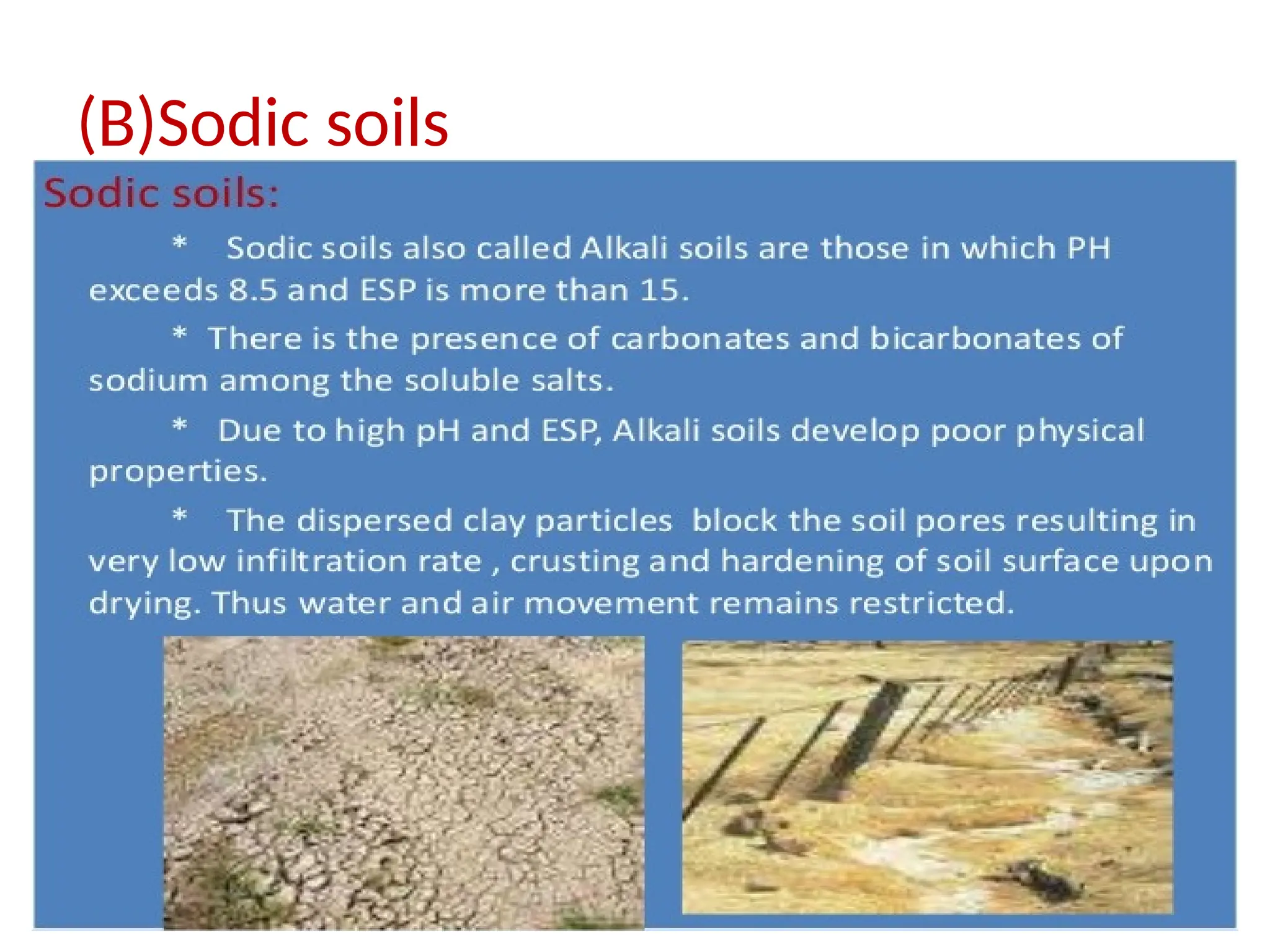 problem soil ppt.pptxbshhhwjwhwhhqjlkwkwjj | PPTX