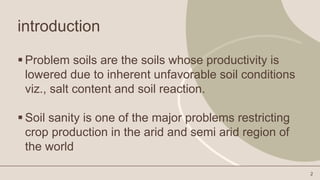 Problem Soils.pptx