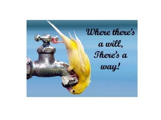 Are You A Problem Solver? | PPT