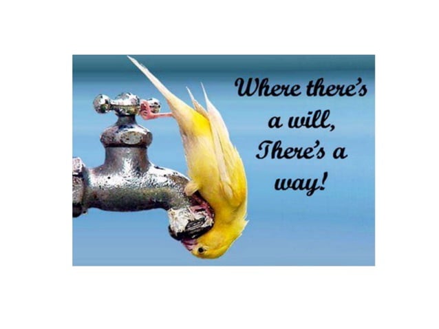 Are You A Problem Solver? | PPT