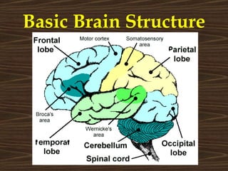 Problem Solving | PPT