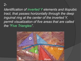 Problem solving : a quiz in surgery.pptx
