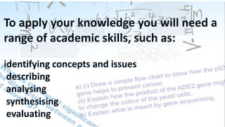 Problem solving in exams | PPTX
