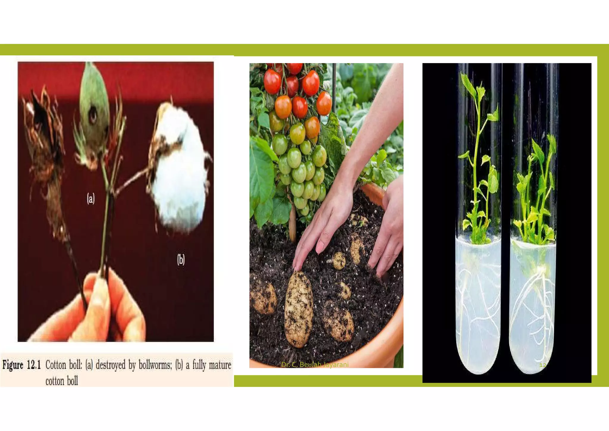 Problem solving method | PDF | Educational Assessment | Education