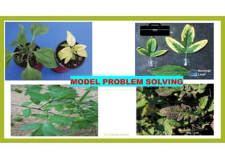 Problem solving method | PDF | Educational Assessment | Education